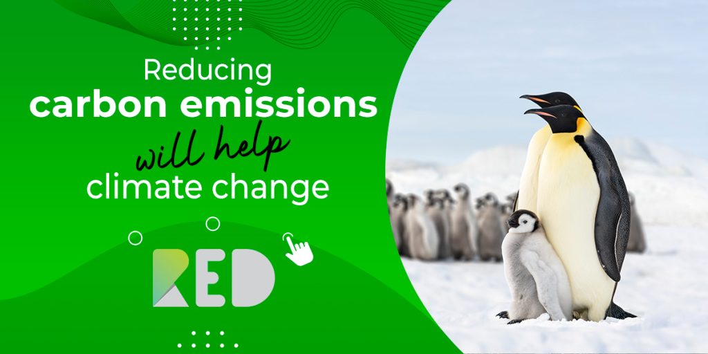 Reducing carbon emissions will help climate change - RED Platform