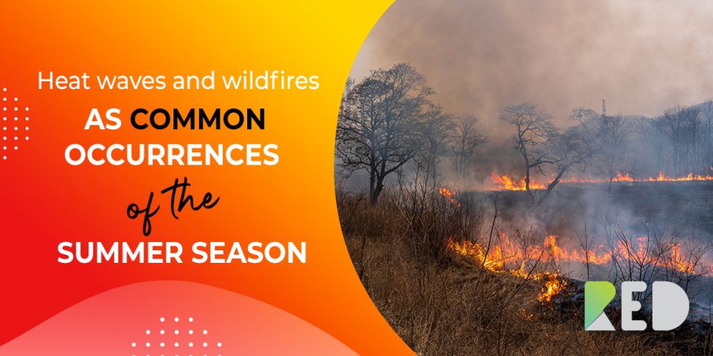 Heat waves and wildfires as new common occurrences of the summer season ...