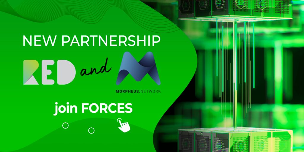 RED partners with Morpheus.Network to help achieve a more sustainable ... RED partners with Morpheus.Network to help achieve a more sustainable ...